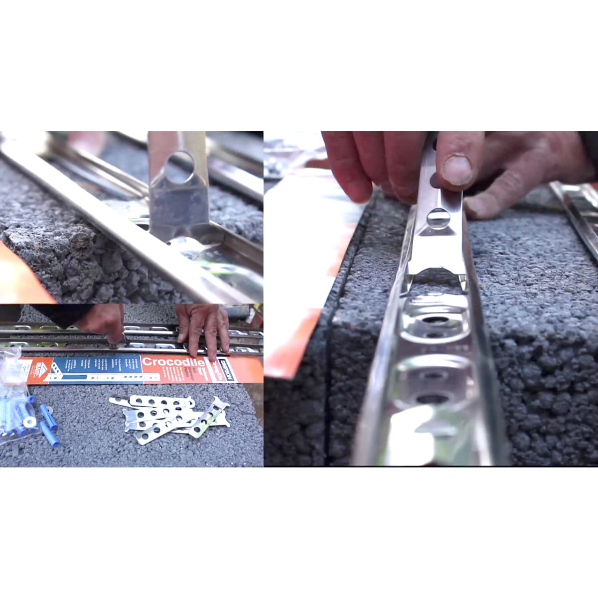 crocodile wall starter