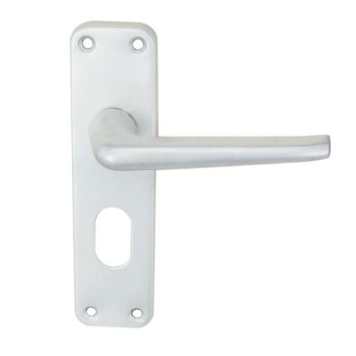 Eurospec Oval Profile Lever on Backplate Satin Anodised Aluminium